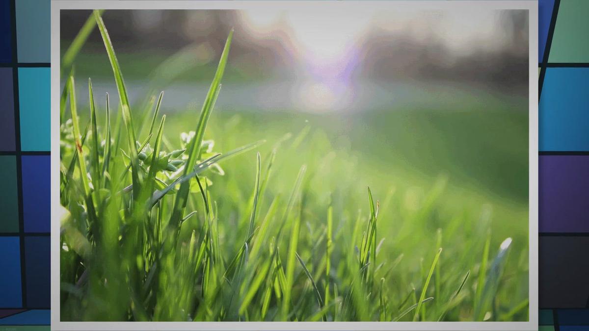 'Video thumbnail for Do You Overlap When Mowing?'